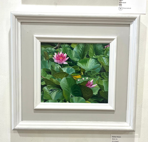 Andrew Tewson 'Water Lily' oil on board, available to purchase at Iona House Gallery in-store ...